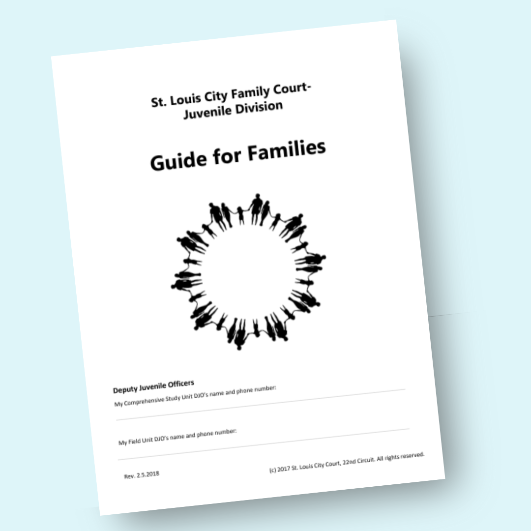 Example Document: Navigation Guide for Families