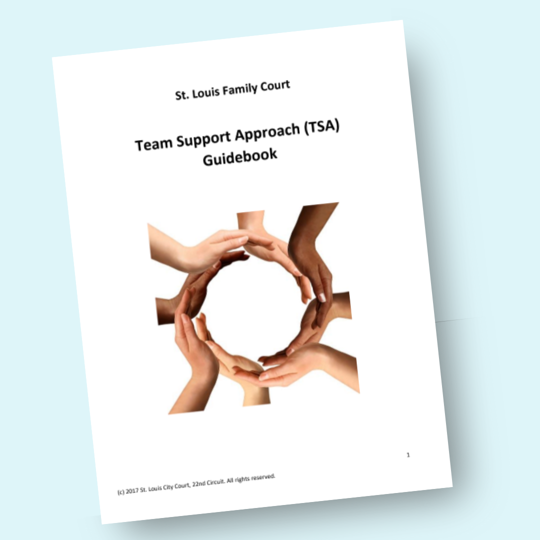 Example Document: Team Support Approach Guidebook